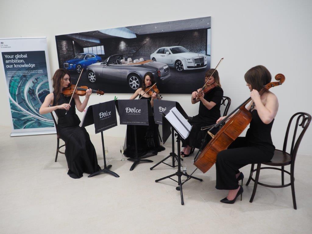 Dolce String Quartet 3